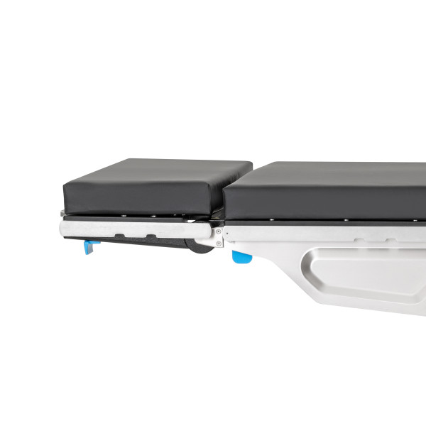 Dual Articulating Headrest - 7080 (TLT)